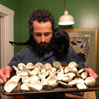 Lord Buffalo EP | Lord Buffalo