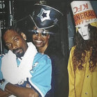 Baker's Dozen: DIBIA$E | DIBIA$E