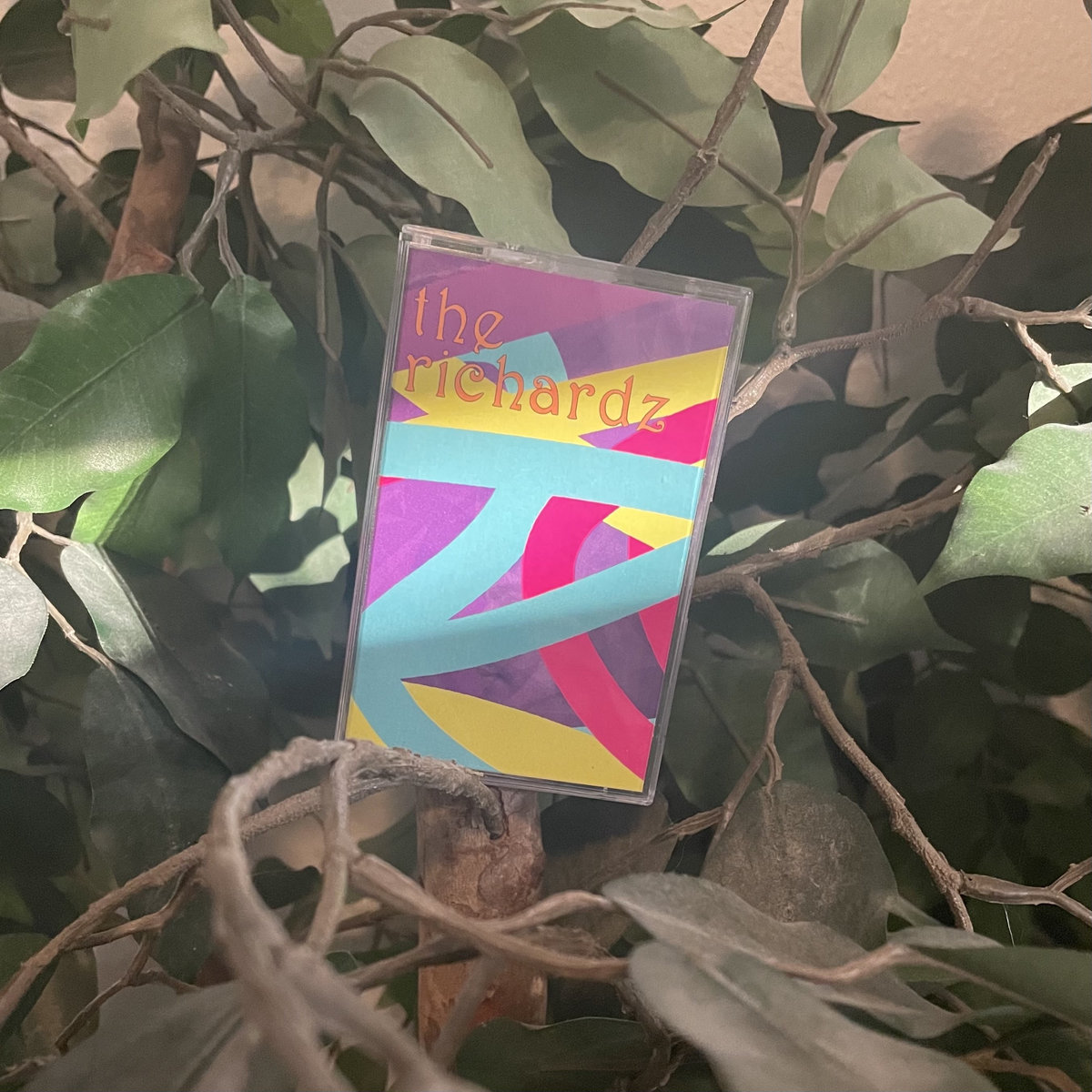 The Richardz | The Richardz | Husk Recordings