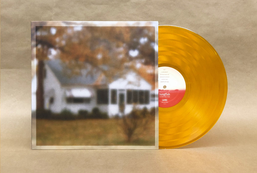 A Guide to Lungfish, Dischord Records’ Most Idiosyncratic Band ...