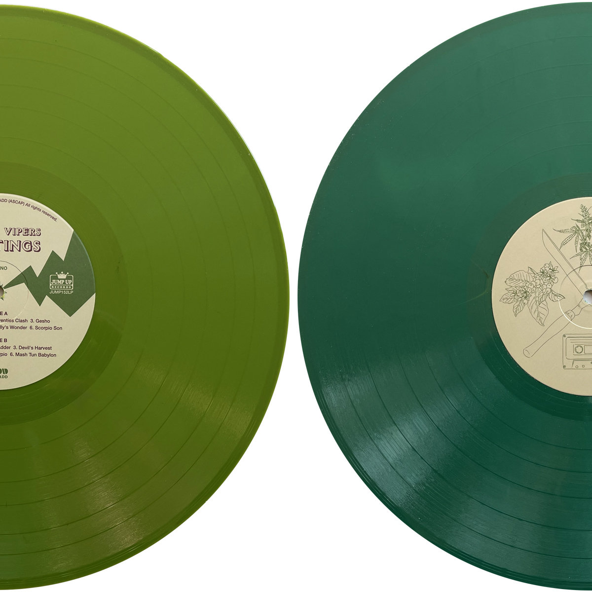 Cuttings | Flying Vipers