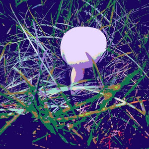 Music | Infinity Vine Records