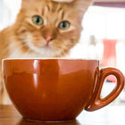 Night Drive | Timecop1983