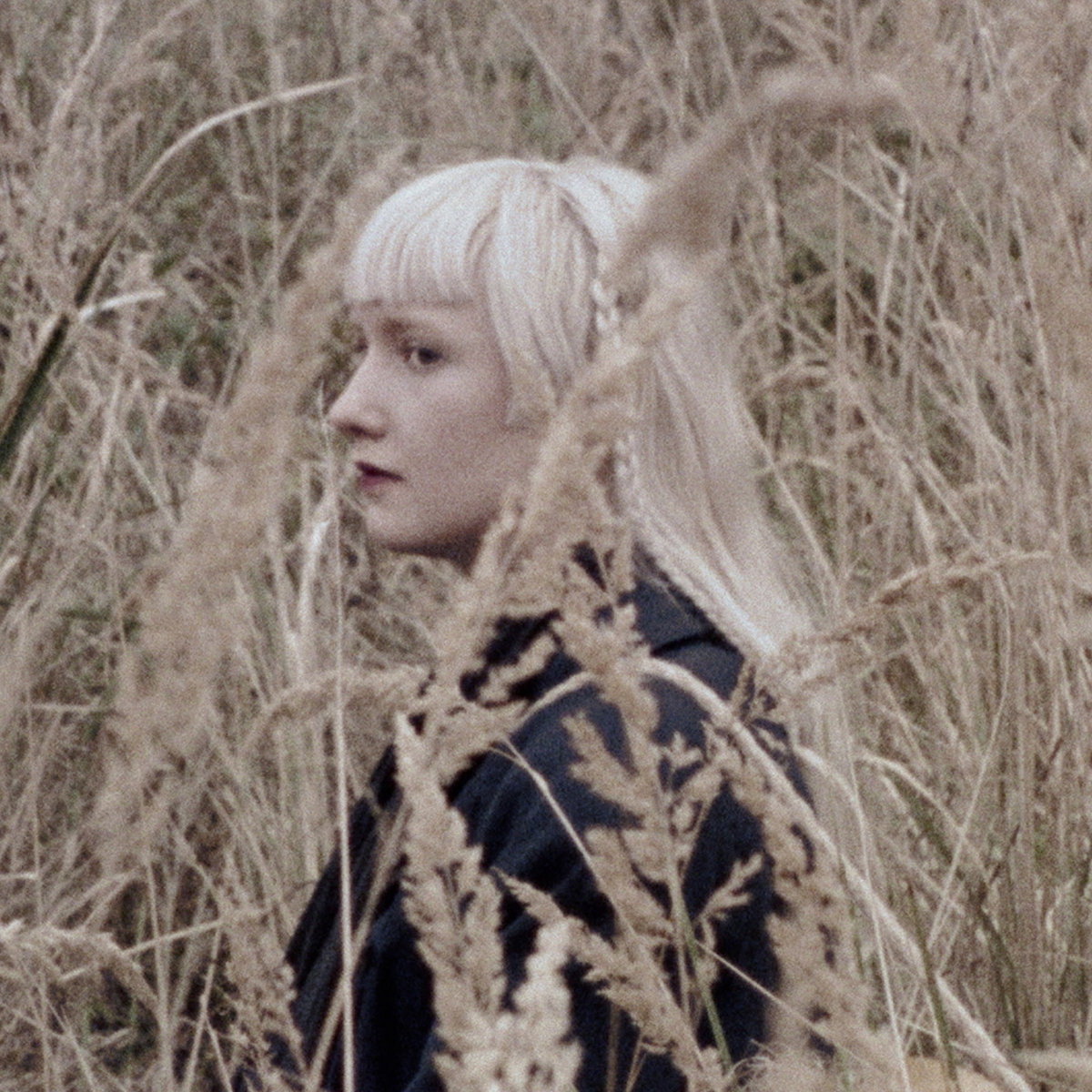 Sow the Path | Sally Dige