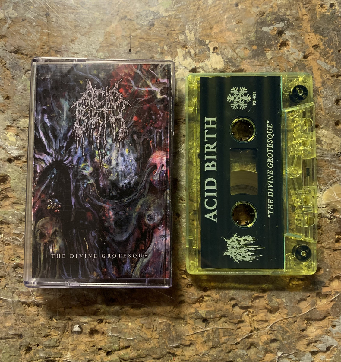 The Divine Grotesque / Pleasures of Flesh | ACID BIRTH | Frozen Screams ...