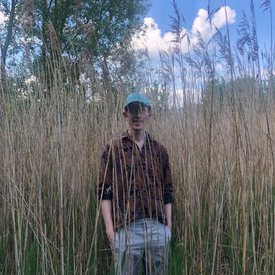 The Eponymous Shark | Aidan McCormack Voller