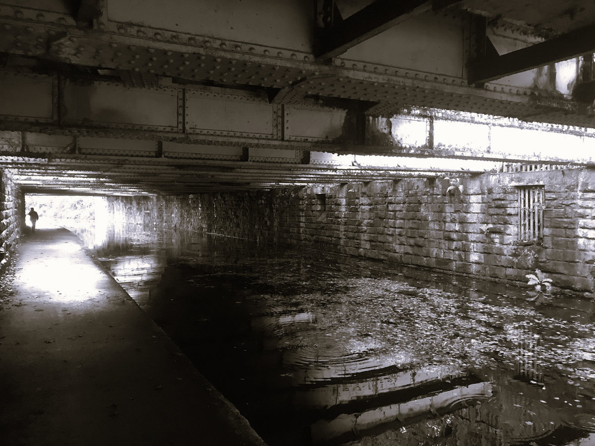 Master John Goodfellow & The Phoenix Nest (and Other Obscure Slang ...