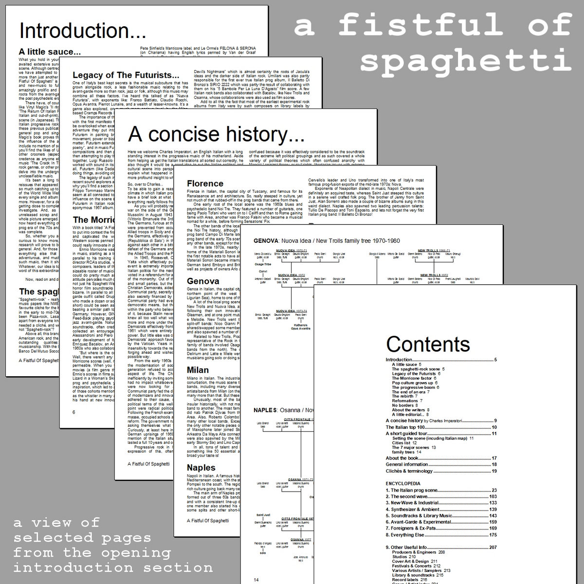 A Fistful Of Spaghetti - book funding campaign | Audion