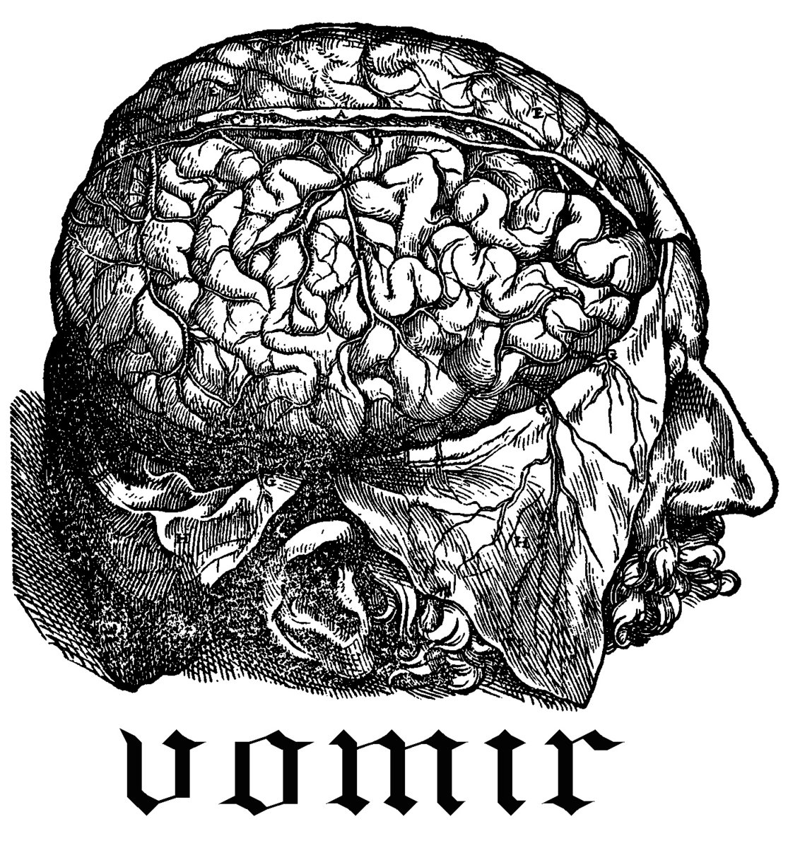 VOMIR BRAIN shirt PRE ORDER | Decimation Sociale releases