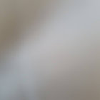 Impossible Animals | ROAR