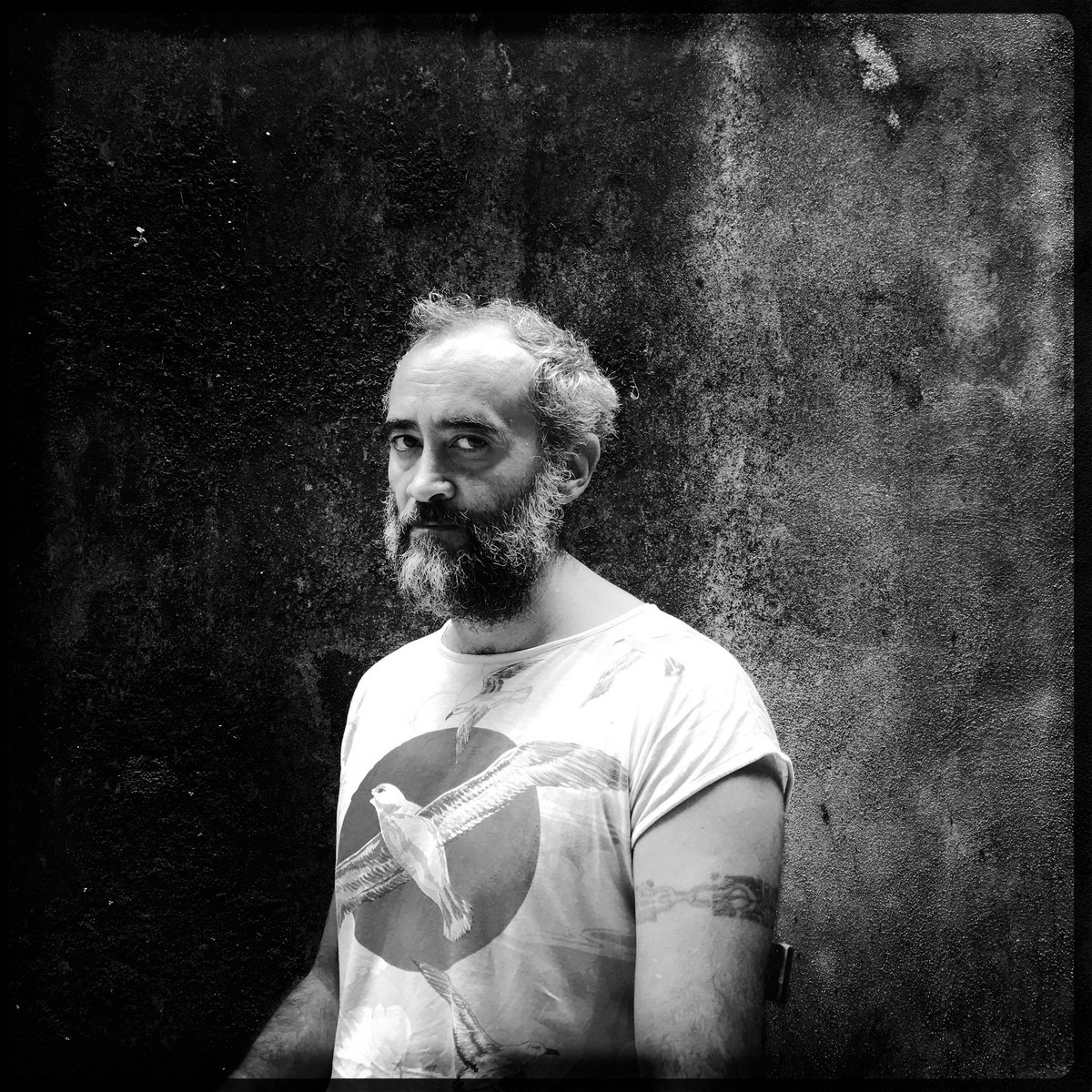 Requiem for a Tree | LupMorthy is Luca Recchia, contemporary composer ...