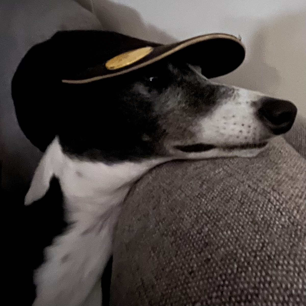 perfect sketching | chuck perry