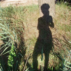 Wake Up Calls | Cosmo Sheldrake