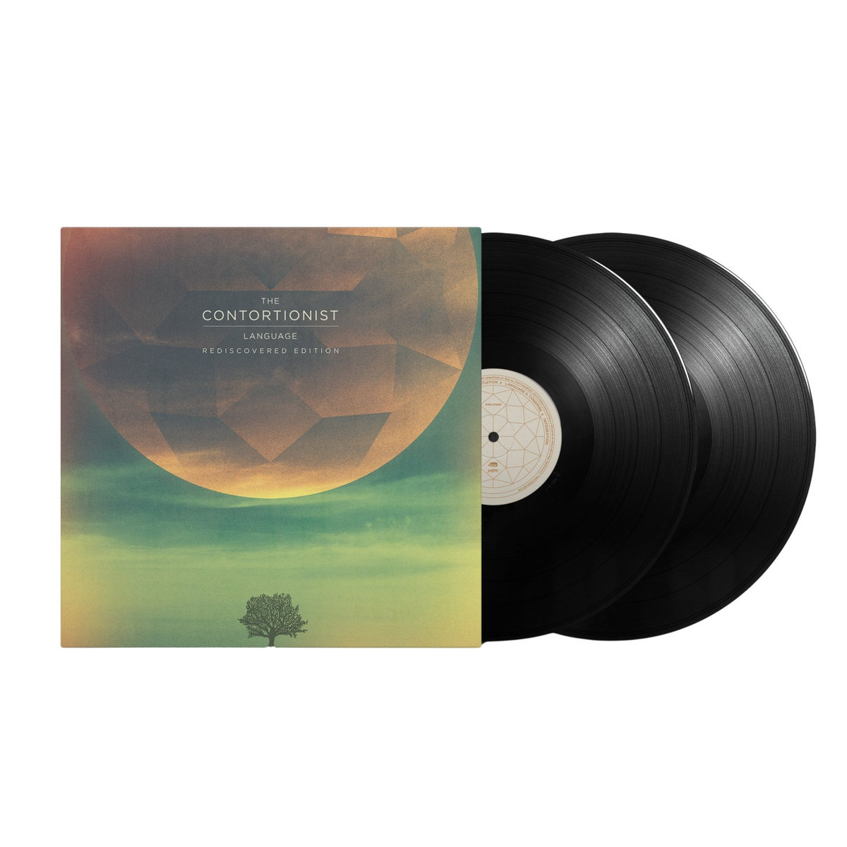Language | The Contortionist