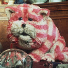 The Wolf Lord's Throne | Lycan Castle