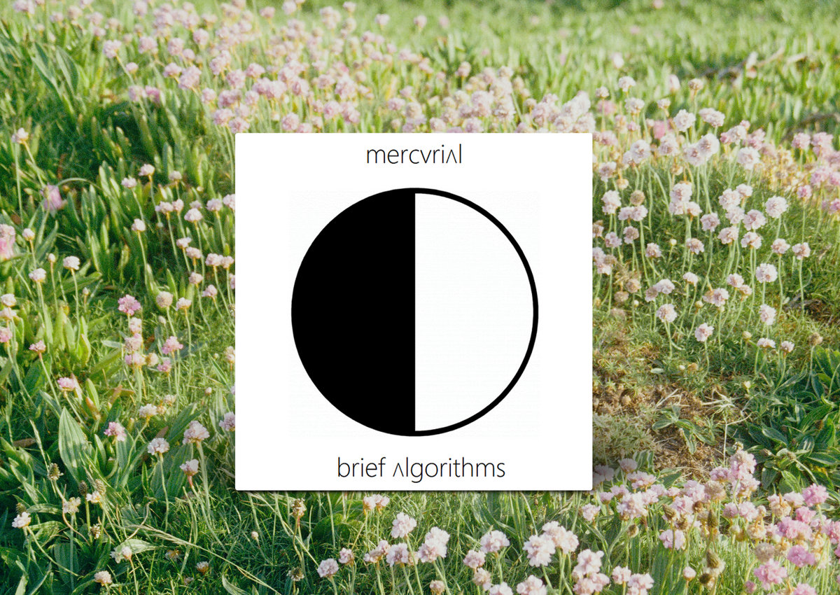 Brief Algorithms | Mercvrial | Crafting Room Recordings