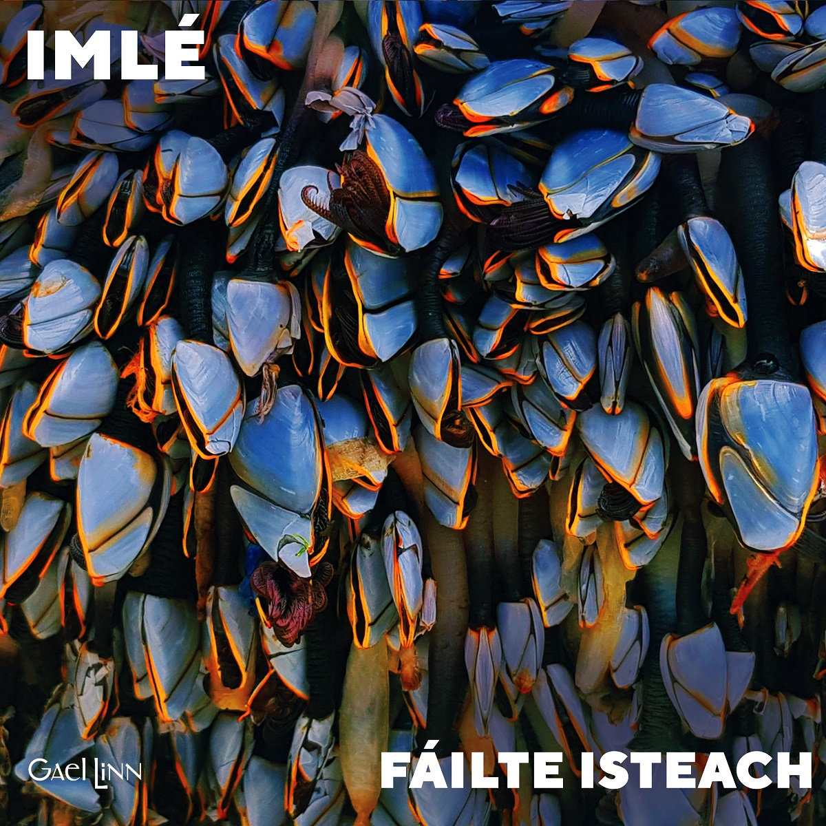 FÁILTE ISTEACH | IMLÉ
