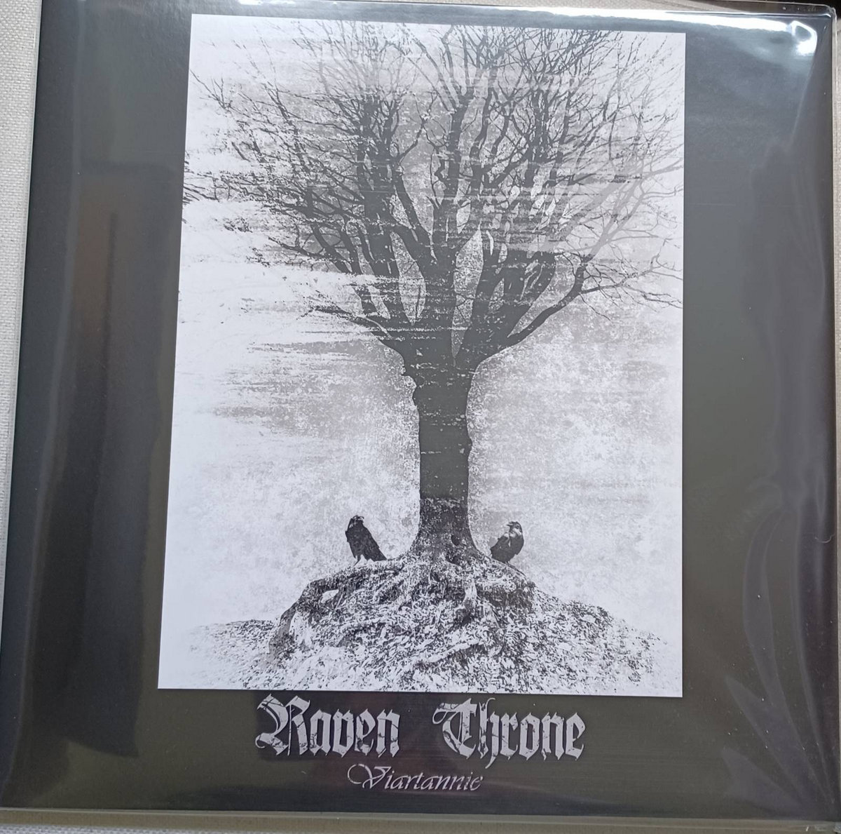 Viartannie (Chroniki Źmiainaj Ciemry) /The Return (The Chronicles of ...