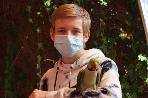 Music | CVD Productions