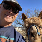 Silent Movies | Marc Ribot