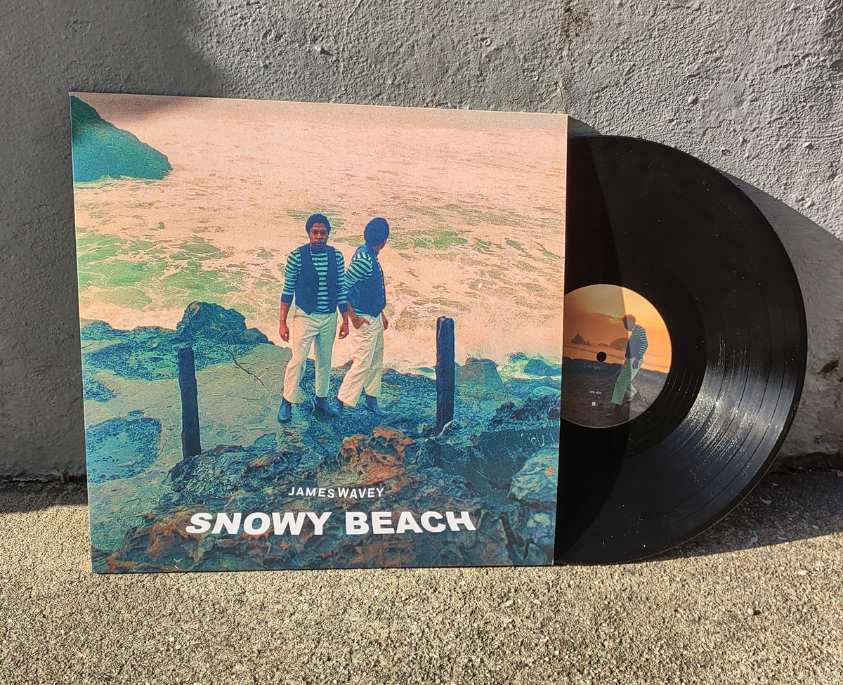 "Snowy Beach" | James Wavey | Dandy Boy Records