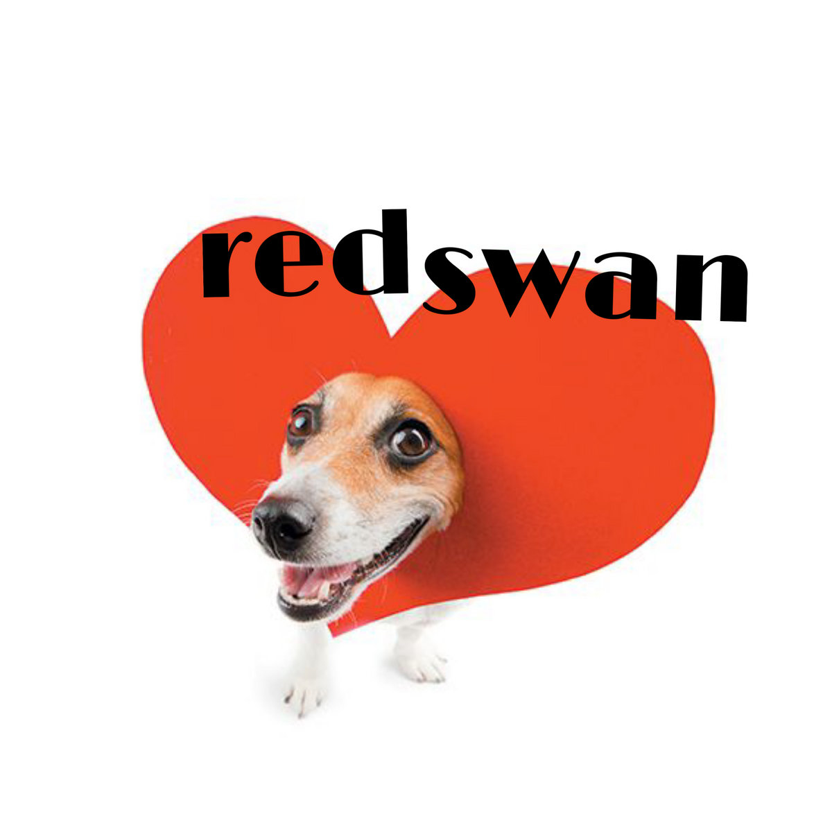 Love | Red Swan