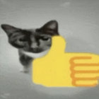 the first glass beach album | glass beach