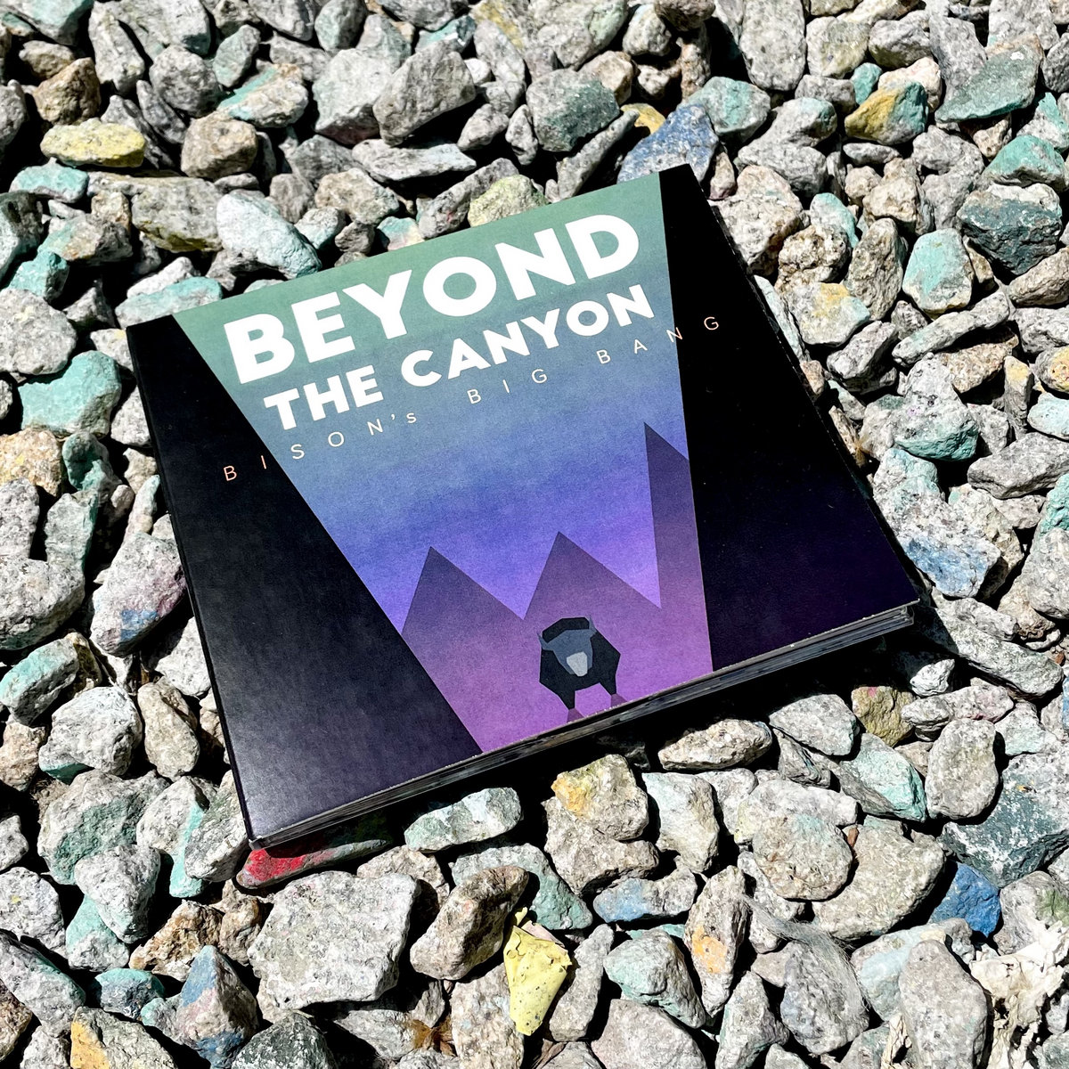 Beyond The Canyon | Bison's Big Bang | Brian Blaker
