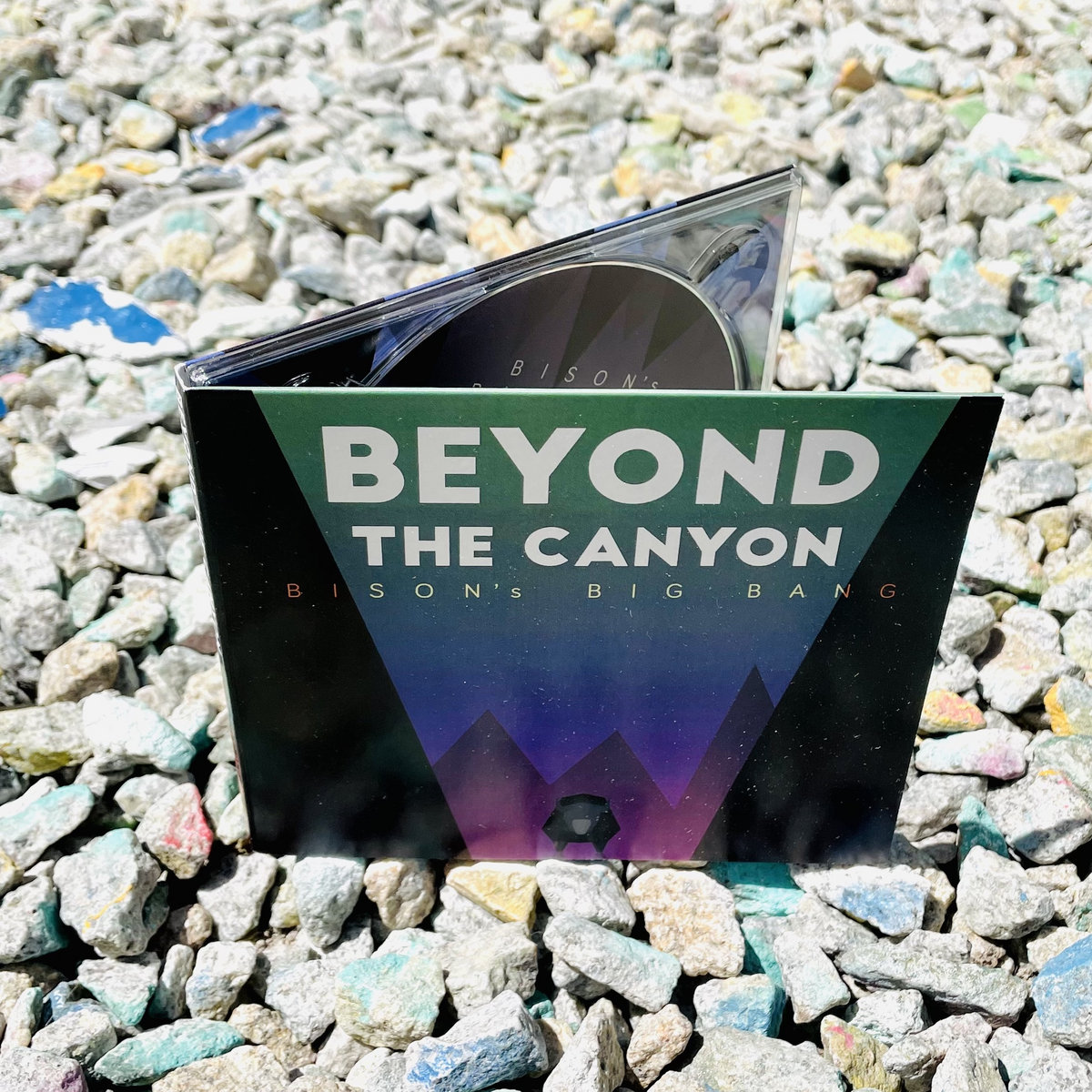 Beyond The Canyon | Bison's Big Bang | Brian Blaker