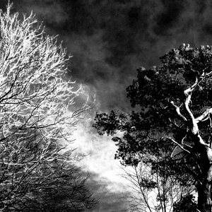 Music | Andy Christopher