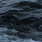 Crystal Cafe | Witching Waves | Soft Power Records