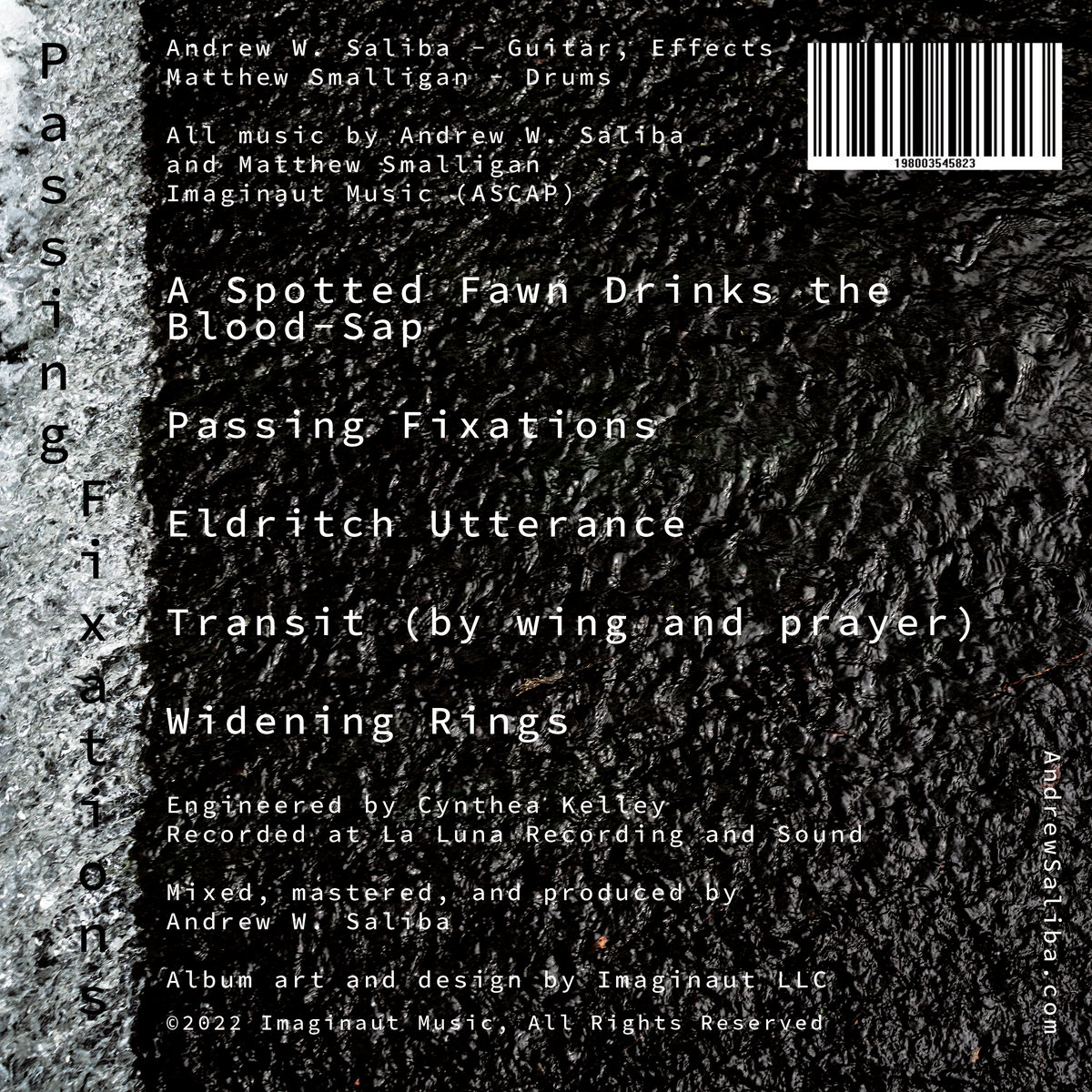 Passing Fixations | Andrew W. Saliba
