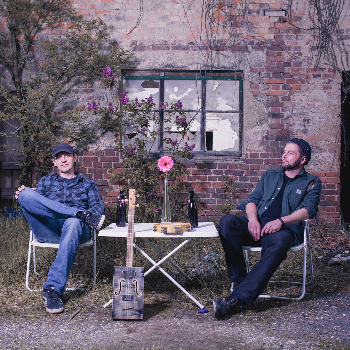 Stray Dog | stray dog band