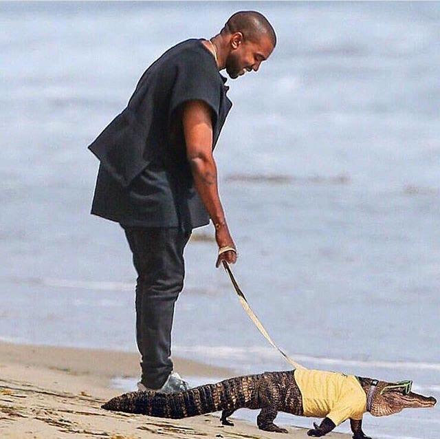 seagull / path to the light | Hope Lopez