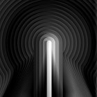 Wild Light | 65daysofstatic | Bird's Robe Records