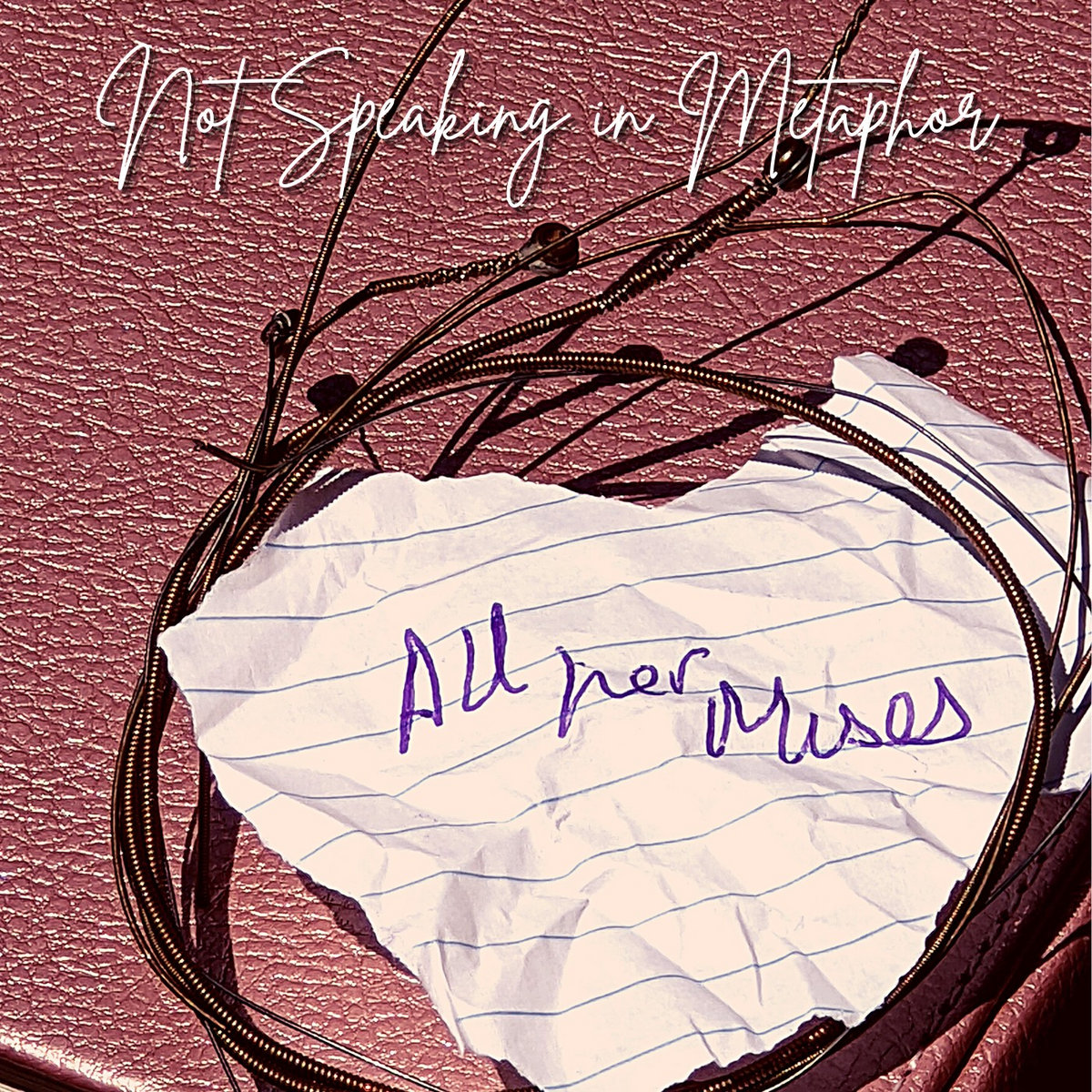Not Speaking in Metaphor | Natalie E. Illum and Grey Jacks | All Her Muses