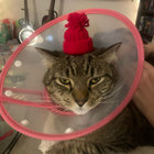 woob 1194 (21st Century Remaster) | woob