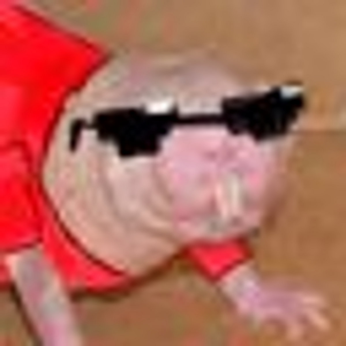 CocoMelon Drip | SaMmY WaMmY