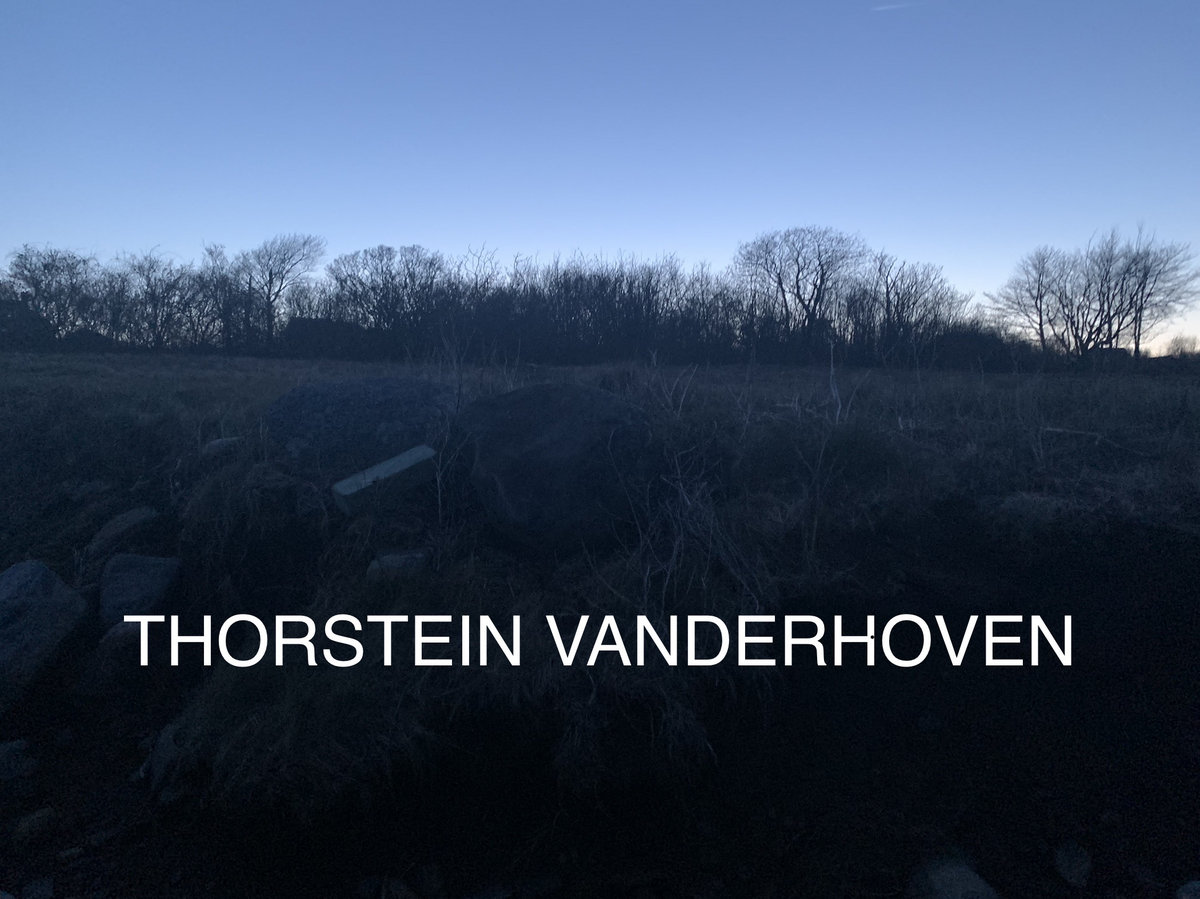 The Bloom | Thorstein Vanderhoven