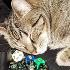 The Court Jester (feat. Fukase) | thquib