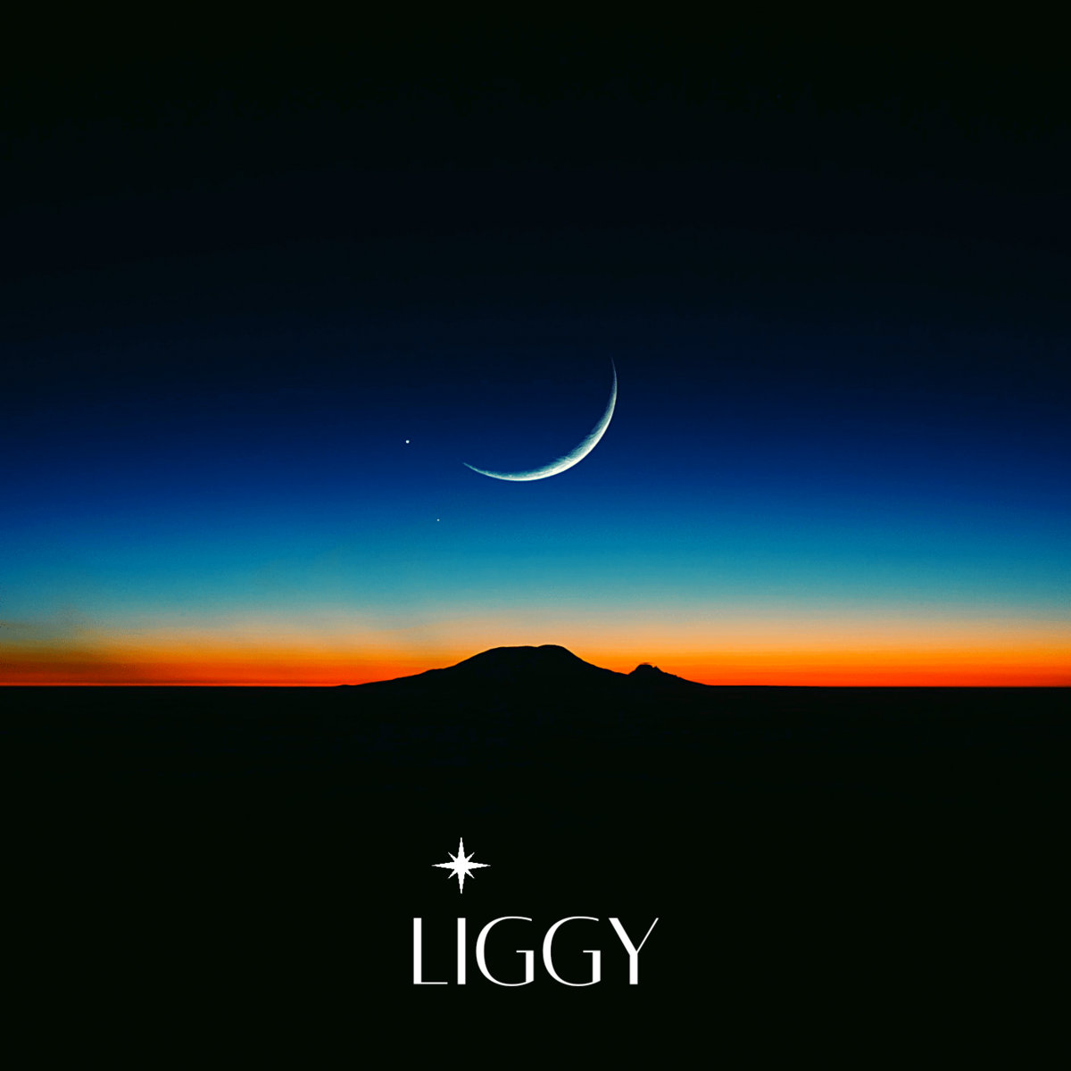 jolene (dolly parton cover) | liggy