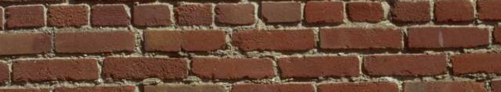 Freaks | Surf Curse | Wretched Youth