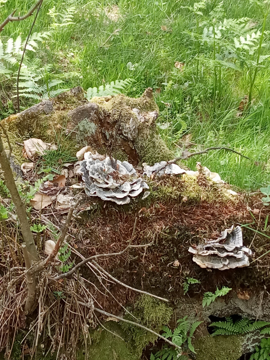 2022 From Beyond the Past | Gloomy Friday