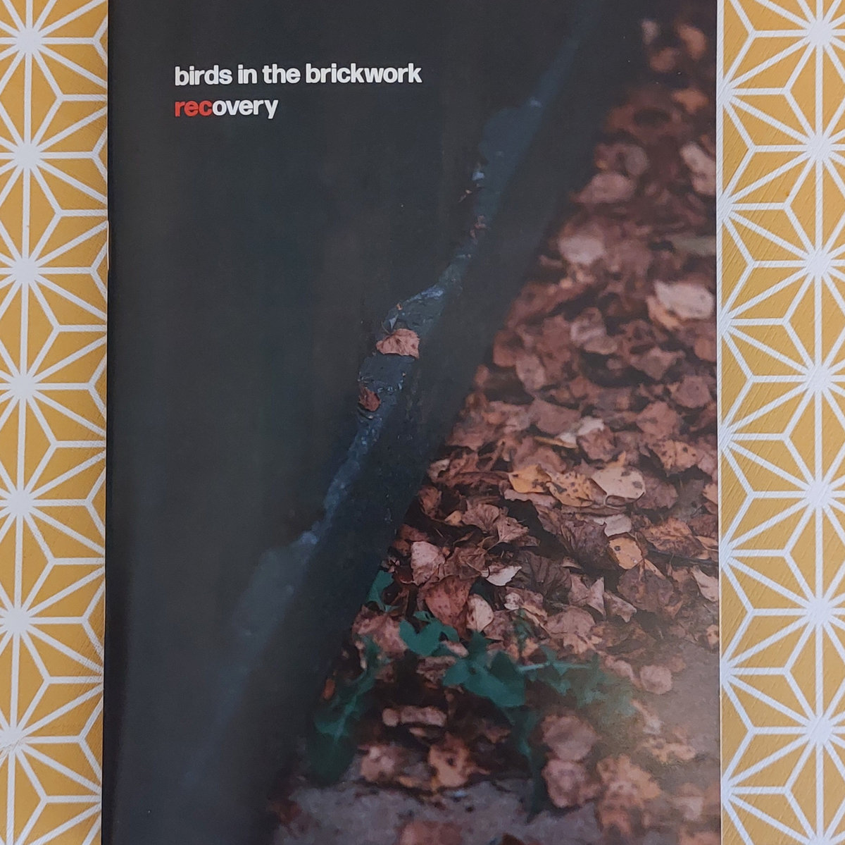 Recovery | birds in the brickwork | Wayside & Woodland Recordings