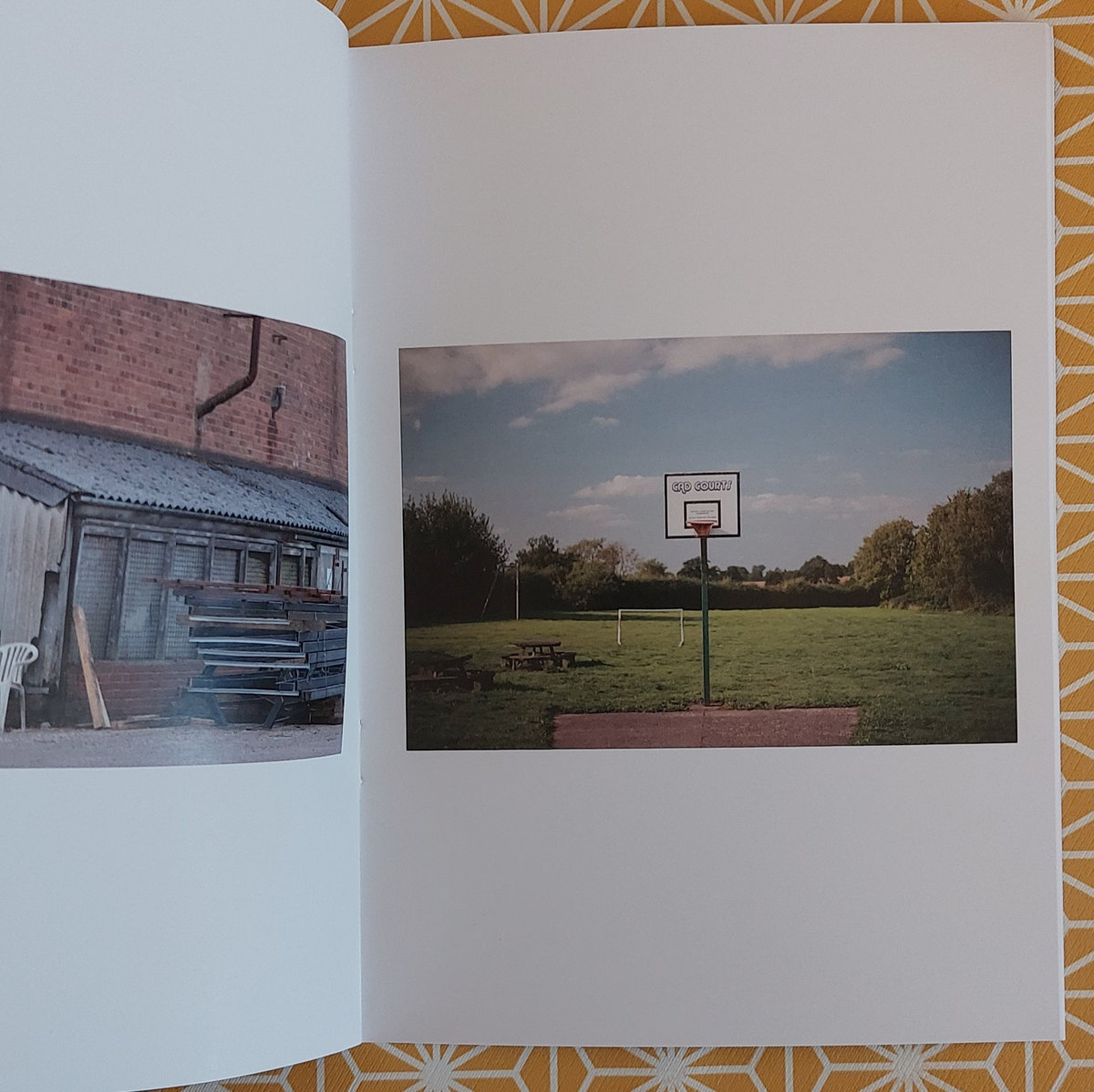 Recovery | birds in the brickwork | Wayside & Woodland Recordings