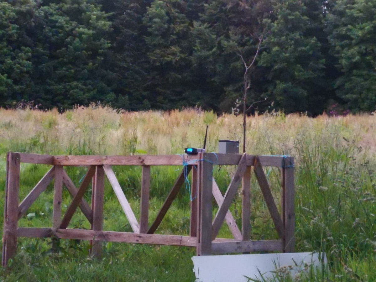 caravane rapido export matic noise | NOISE EXPORT