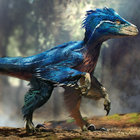 Earthborn Evolution | Beyond Creation