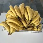 DreamySpaceyBlue | Bella Boo