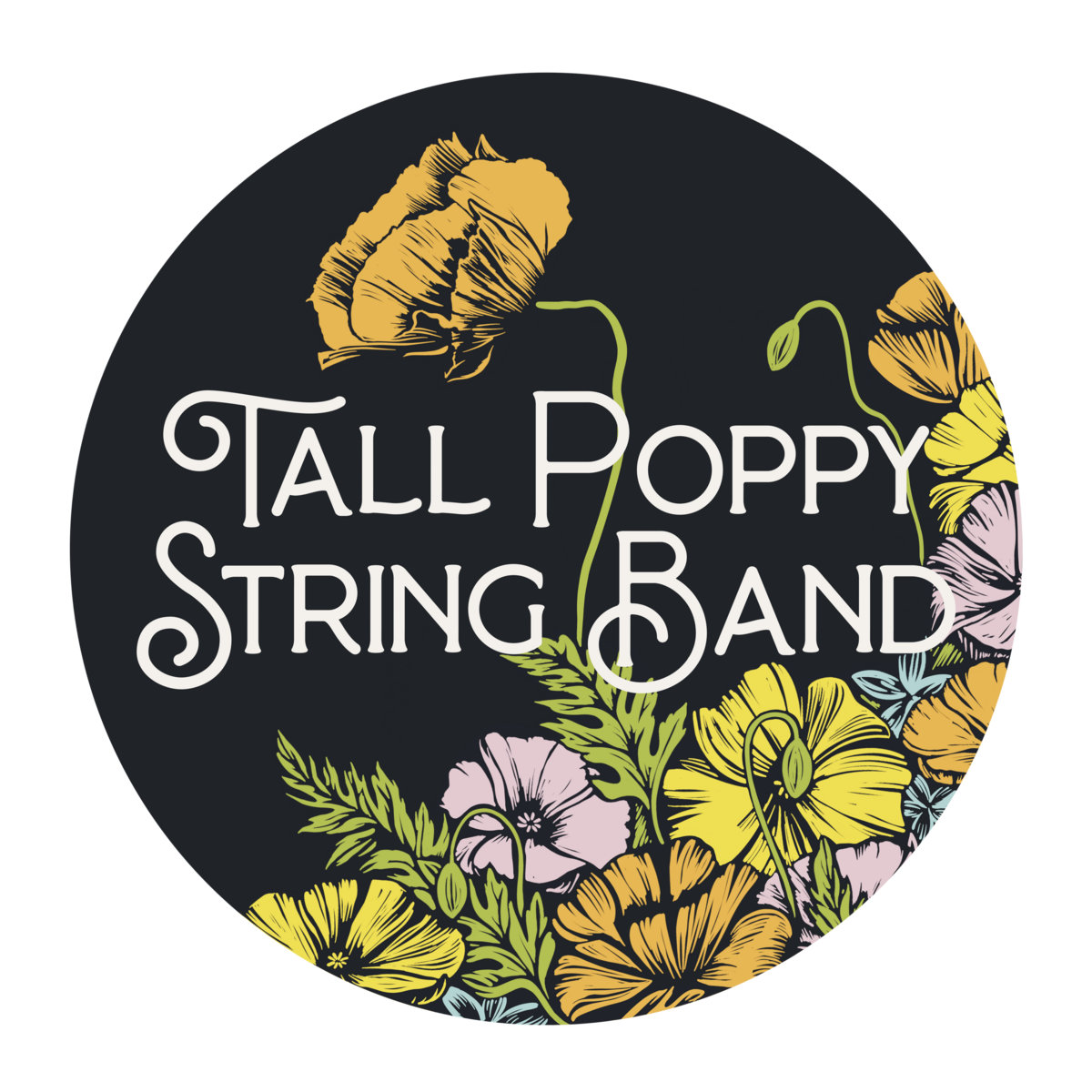Tall Poppy String Band | Tall Poppy String Band