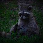 ULTRAKILL: INFINITE HYPERDEATH | Heaven Pierce Her